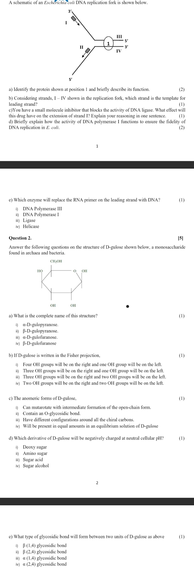 Solved A schematic of an Escherichia coli DNA replication | Chegg.com