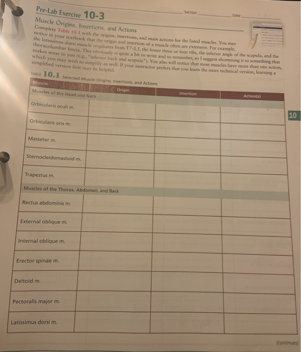 Solved Section Date Pre-Lab Exercise 10-3 Muscle Origins, | Chegg.com