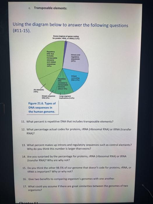 Solved c Transposable elements: Using the diagram below to | Chegg.com