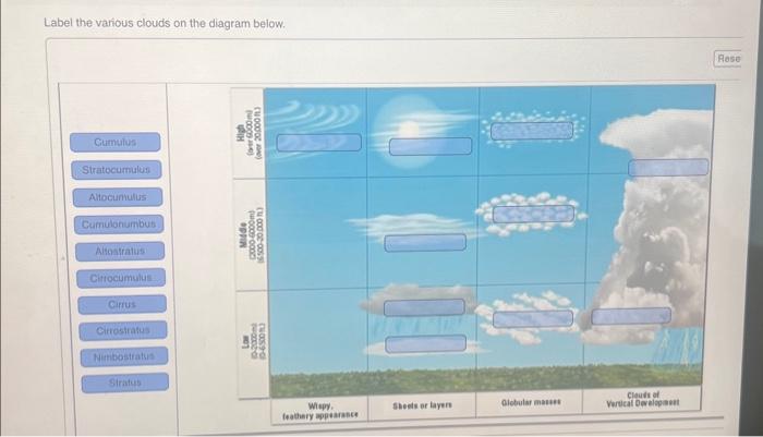 Label the various clouds on the diagram below. | Chegg.com