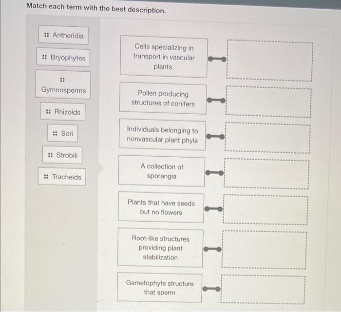 Solved Match each term with the best description. :: | Chegg.com