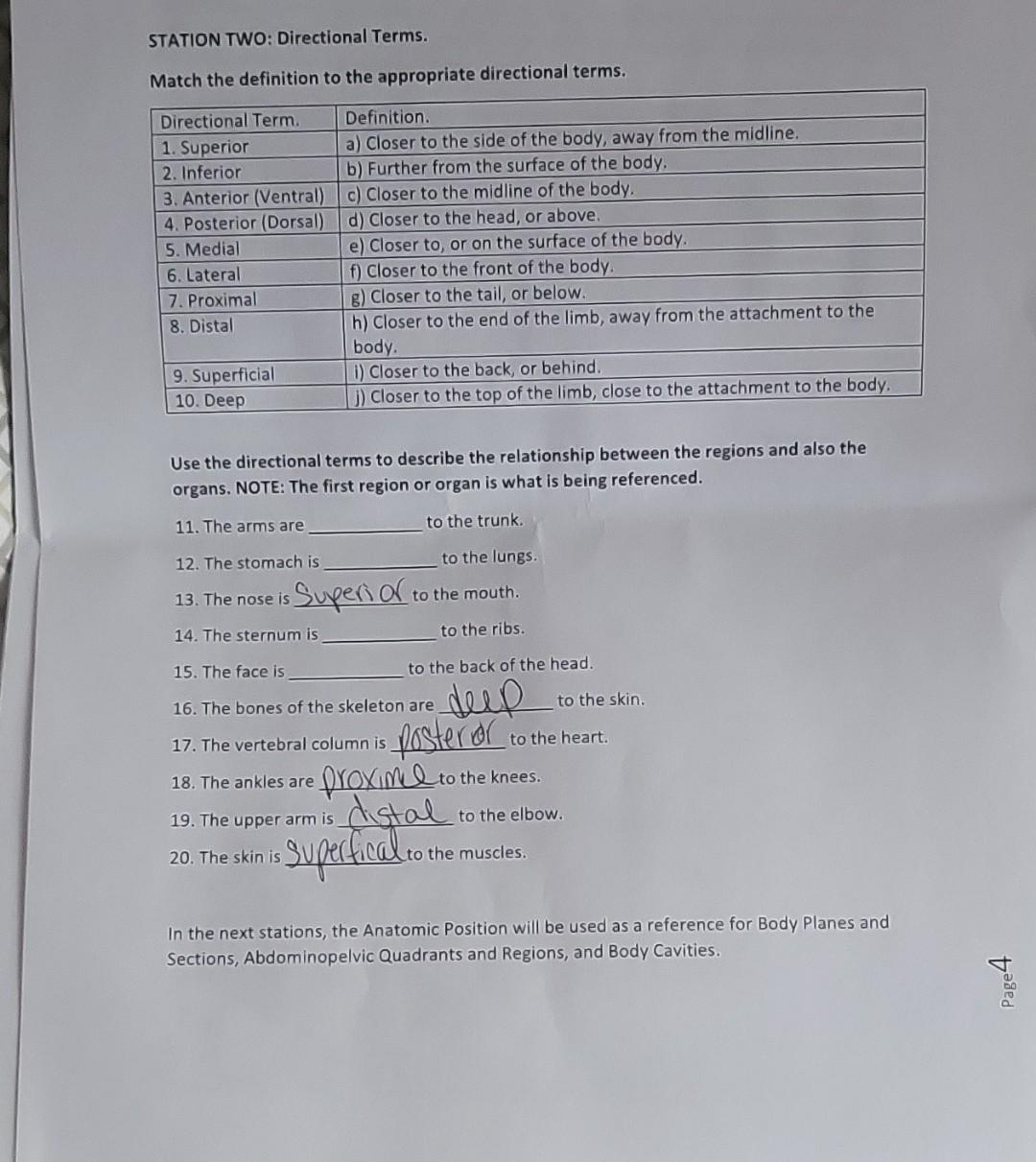STATION TWO: Directional Terms. Match the definition | Chegg.com
