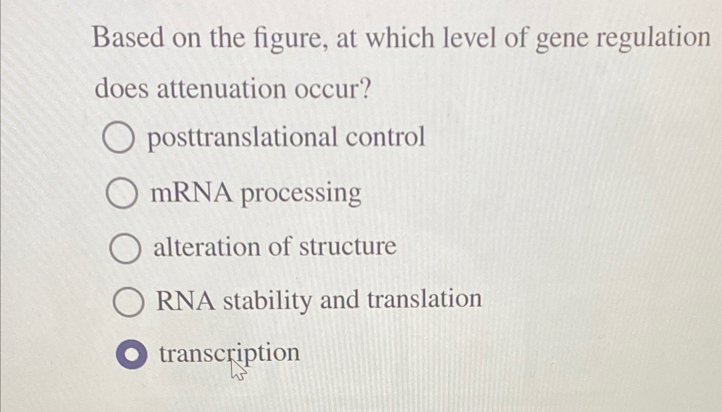 Solved Based on the figure, at which level of gene | Chegg.com