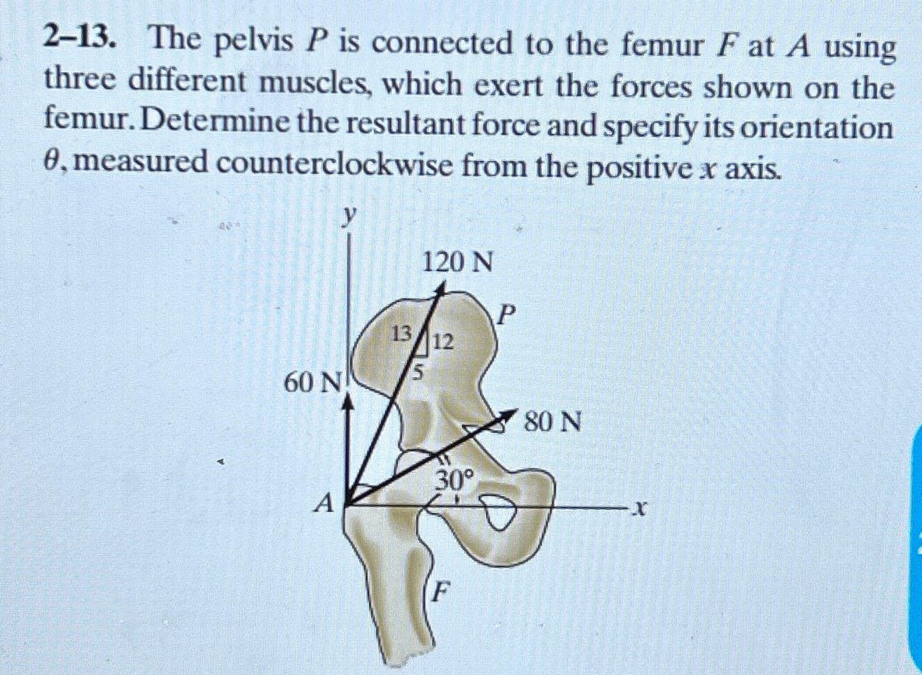 Solved 2-13. The pelvis P is connected to the femur F at A | Chegg.com
