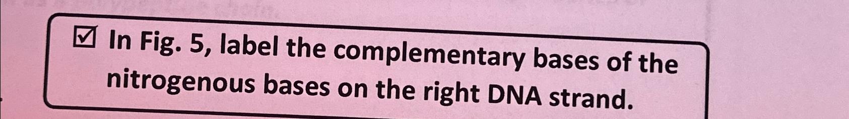 Solved In Fig. 5, ﻿label the complementary bases of the | Chegg.com