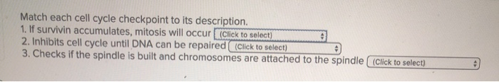 Match each cell cycle checkpoint to its description. | Chegg.com