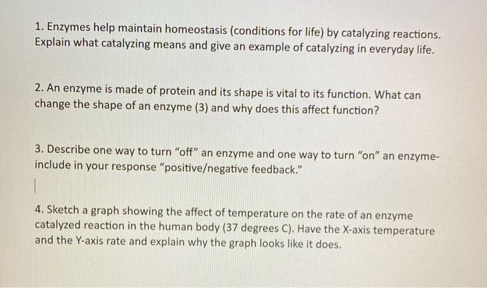 Solved 1. Enzymes help maintain homeostasis (conditions for | Chegg.com
