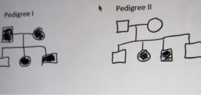 Solved Consider whether the mode of inheritance for each of | Chegg.com