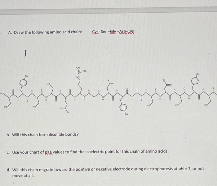 Solved A. Draw the following amino acid chain: | Chegg.com