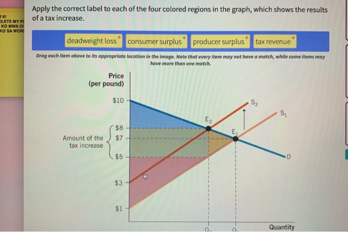 Solved Apply the correct label to each of the four colored | Chegg.com
