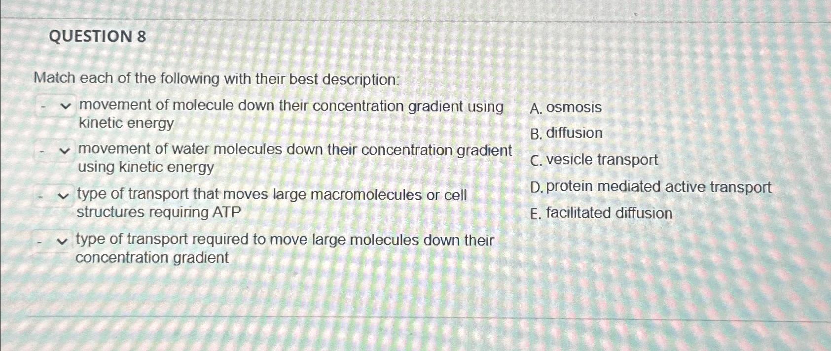 Solved QUESTION 8Match each of the following with their best | Chegg.com