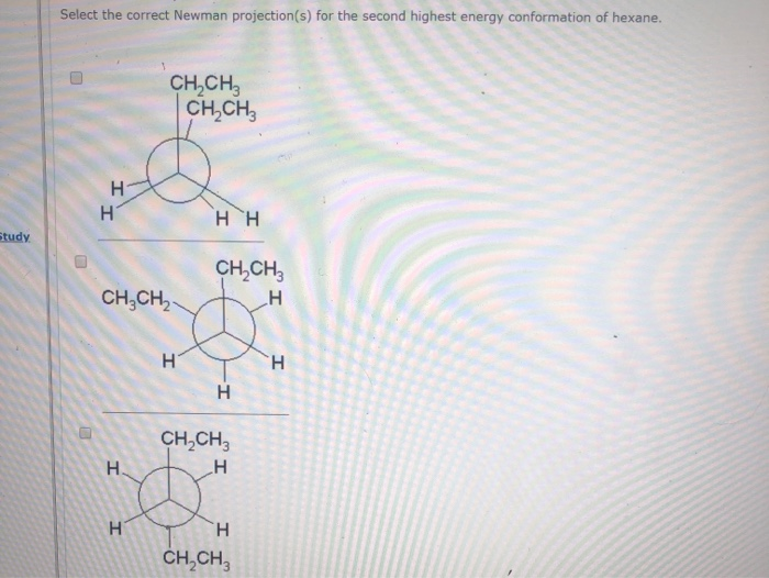 Solved Select the correct Newman projection(s) for the | Chegg.com