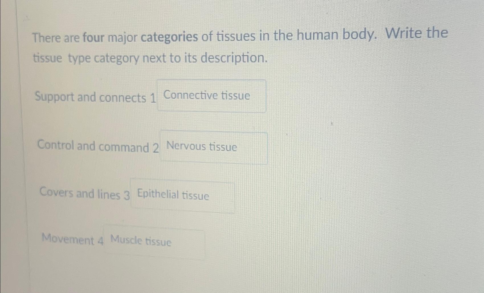 Solved There are four major categories of tissues in the | Chegg.com