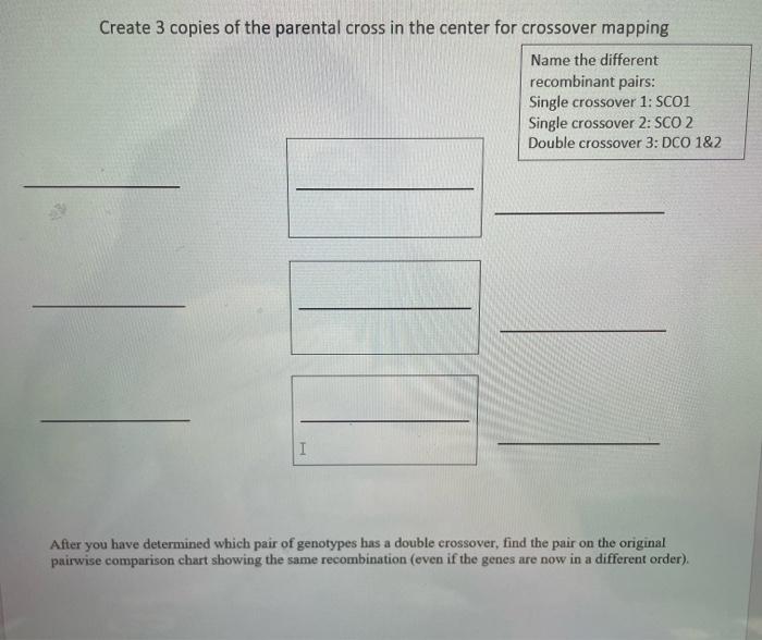 gene mapping and linkage ( blank worksheet except | Chegg.com