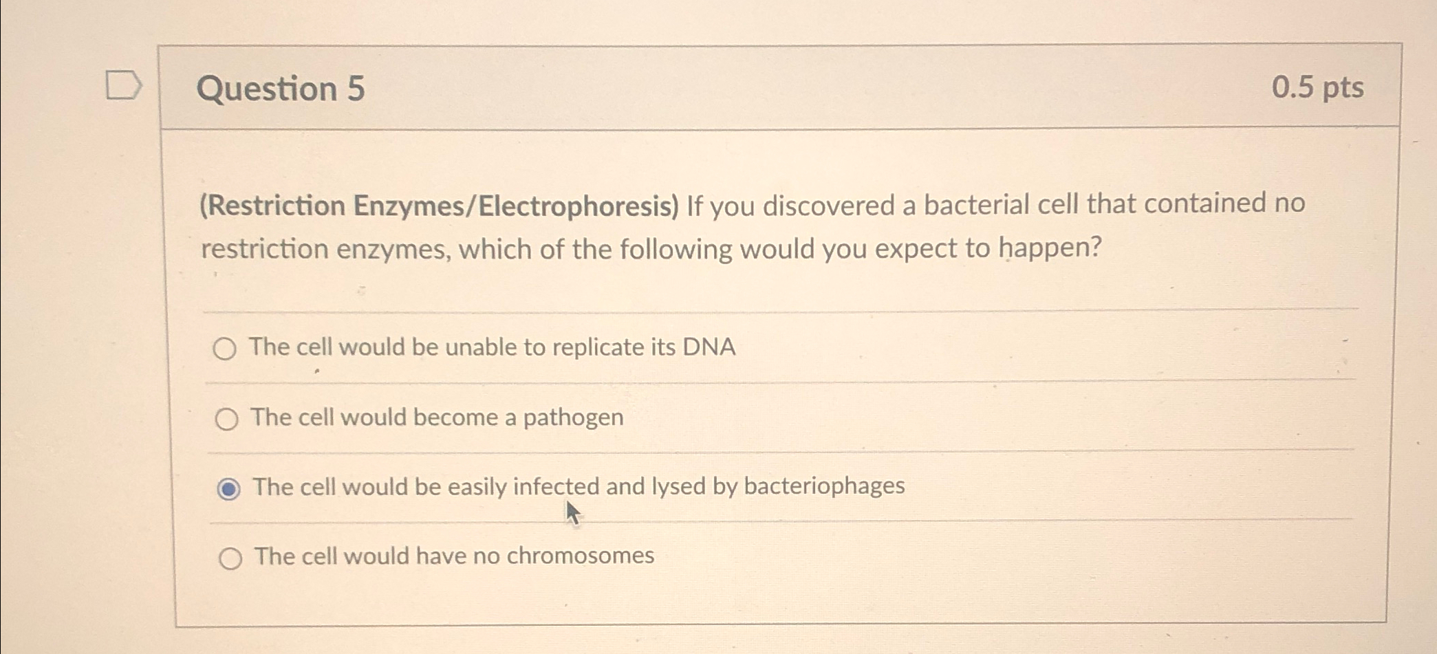 Solved Question 50.5pts(Restriction Enzymes/Electrophoresis) | Chegg.com
