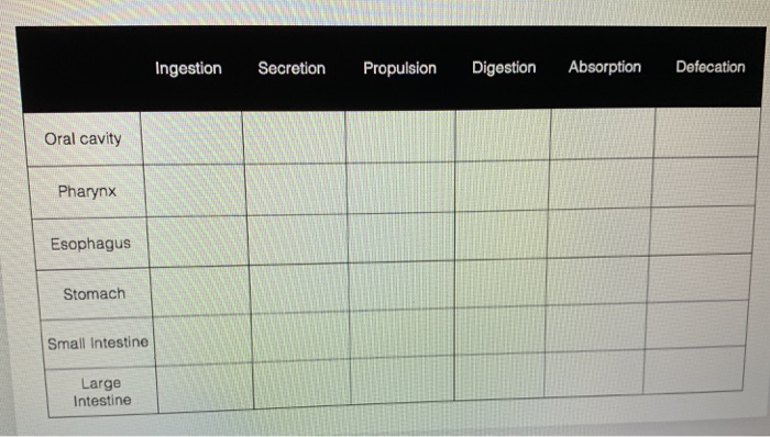 Solved Ingestion Secretion Propulsion Digestion Absorption | Chegg.com