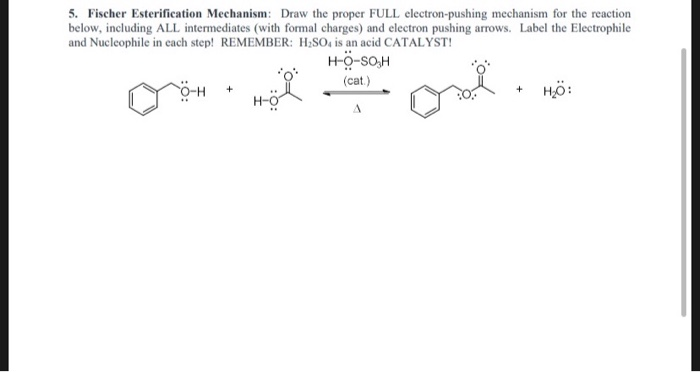 Solved 5. Fischer Esterification Mechanism: Draw the proper | Chegg.com
