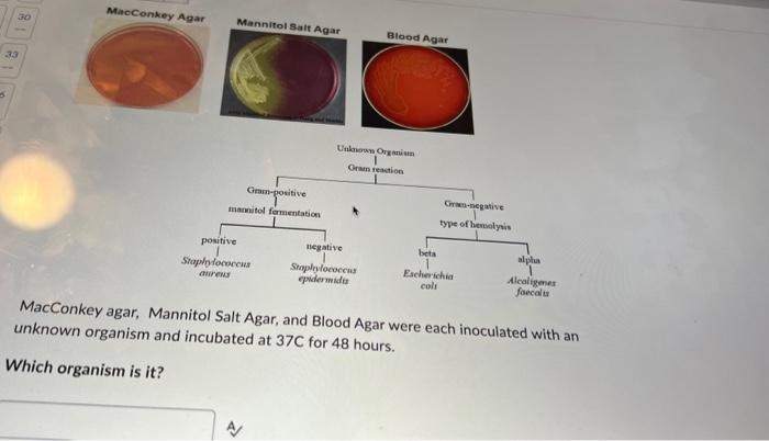 Solved Why do we add a layer of mineral oil to the | Chegg.com