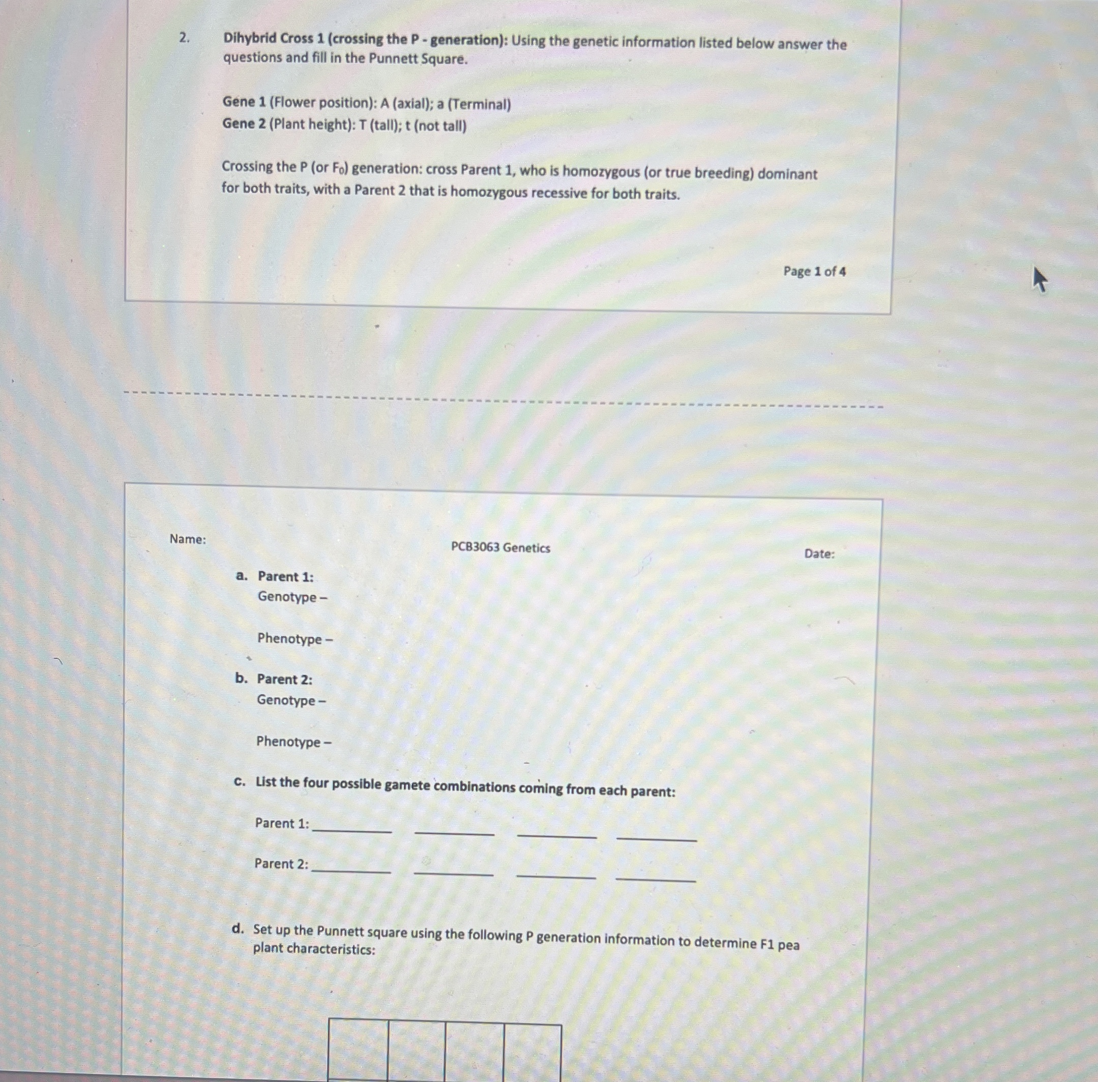 Solved Dihybrid Cross 1 (crossing the P-generation): Using | Chegg.com