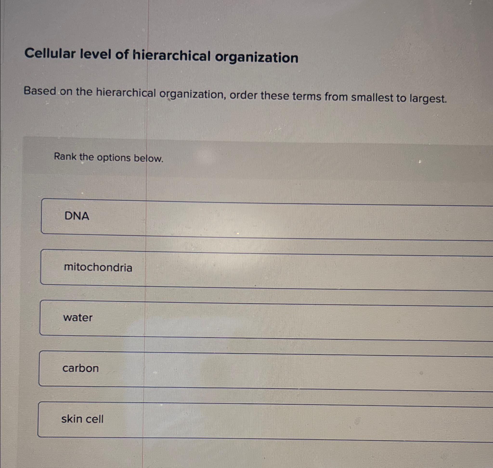 Solved Cellular level of hierarchical organizationBased on | Chegg.com