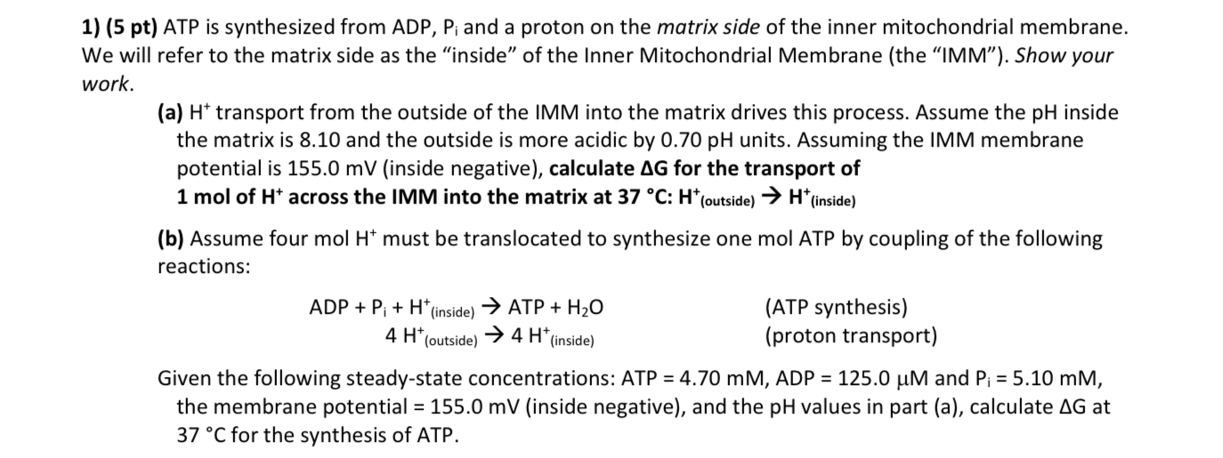 Solved (5 ﻿pt) ﻿ATP is synthesized from ADP, Pi ﻿and a | Chegg.com