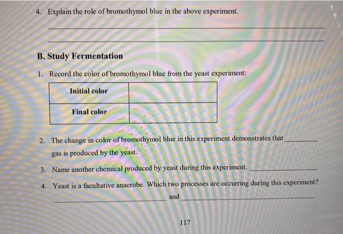 Solved 11. Cellular Respiration & Fermentation A. Study | Chegg.com