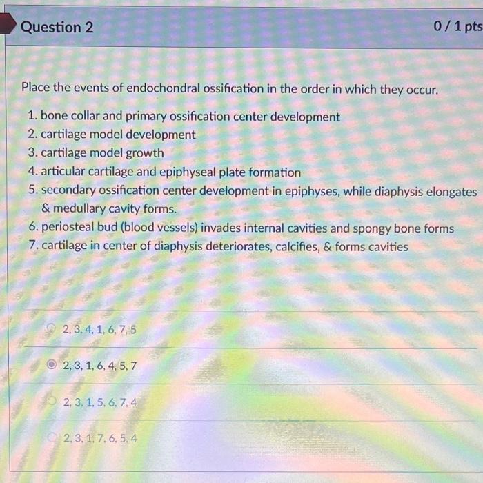 Solved Place the events of endochondral ossification in the | Chegg.com