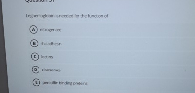 Solved Leghemoglobin is needed for the function | Chegg.com