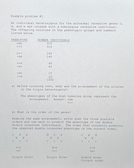 Solved Example problem #1 An individual heterozygous for the | Chegg.com