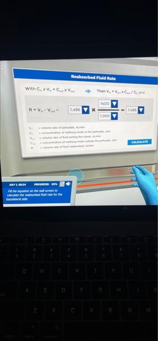 Solved Reabsorbed Fluid Rate With C. XV. - CXV Then VVC/C | Chegg.com