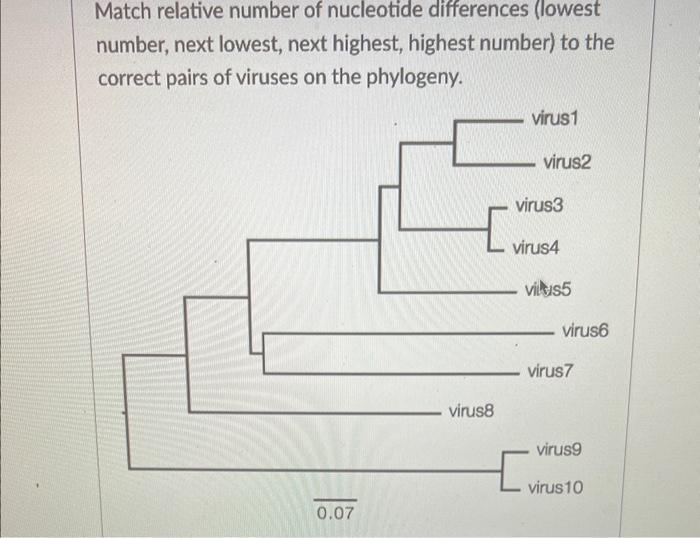 Solved Match relative number of nucleotide differences | Chegg.com