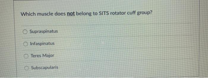 Solved Which muscle does not belong to SITS rotator cuff | Chegg.com