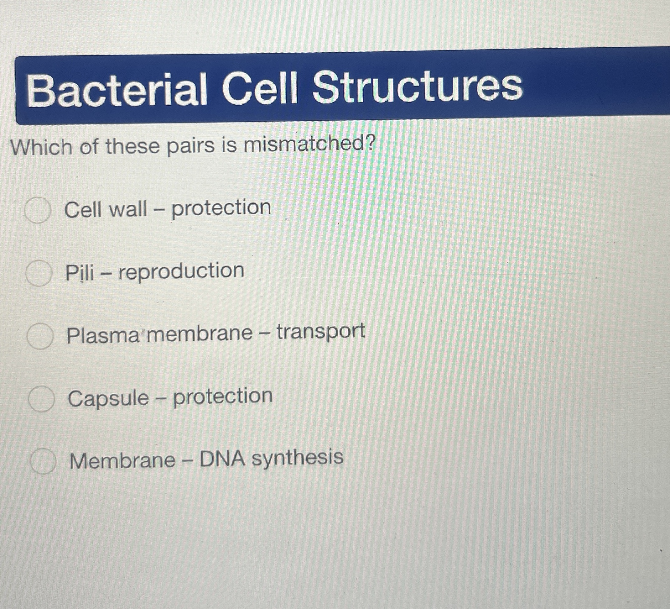 Solved Bacterial Cell StructuresWhich of these pairs is | Chegg.com