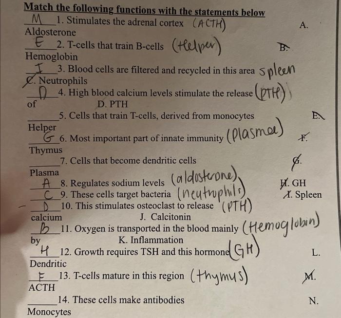 Solved Match the following functions with the statements | Chegg.com