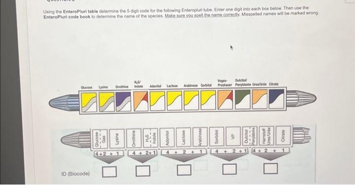 Using the EnteroPluri table determine the 5 digit | Chegg.com