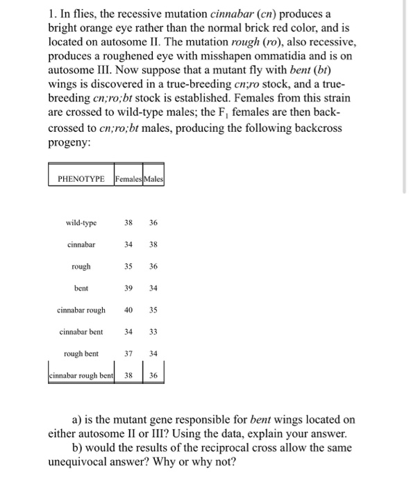 Solved 1. In flies, the recessive mutation cinnabar (cn) | Chegg.com