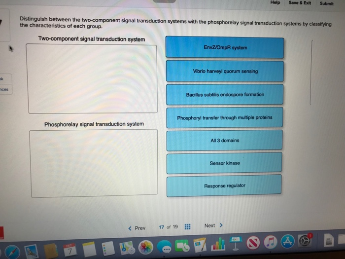 Solved Help Save & Exit Submit Distinguish between the | Chegg.com