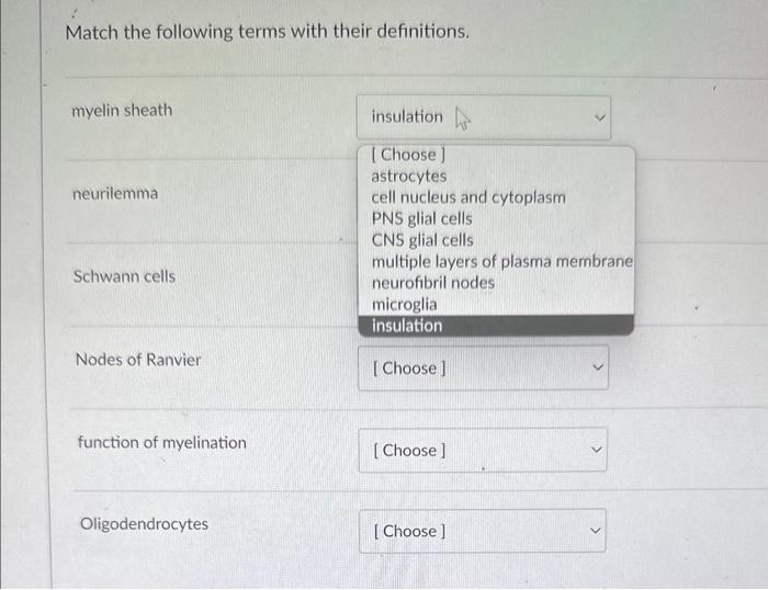 Solved Match the following terms with their definitions. | Chegg.com