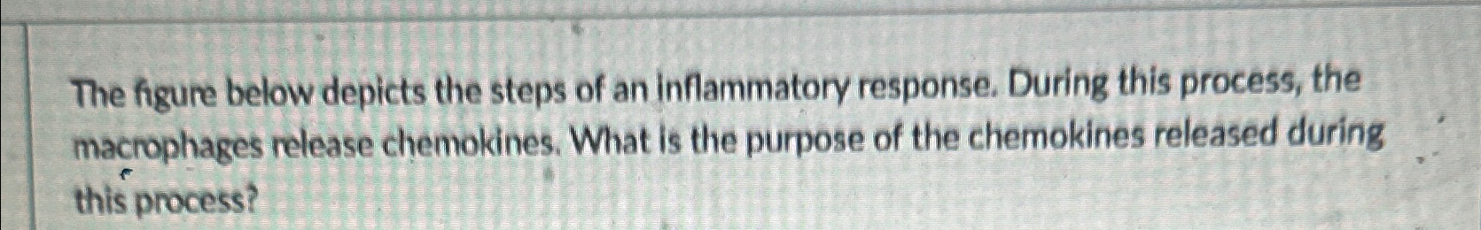 Solved The figure below depicts the steps of an inflammatory | Chegg.com