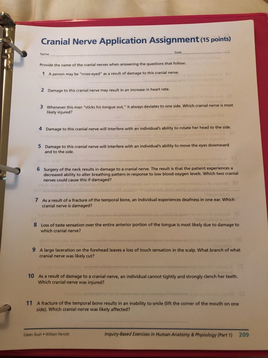 Solved Cranial Nerve Application Assignment (15 points) Date | Chegg.com