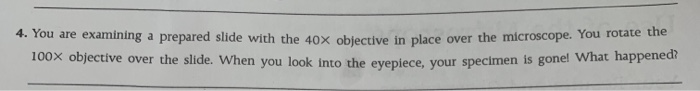 Solved examining a prepared slide with the 40x objective in | Chegg.com