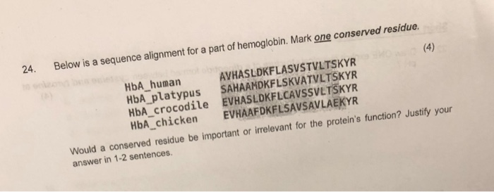 Solved 24. Below is a sequence alignment for a part of | Chegg.com