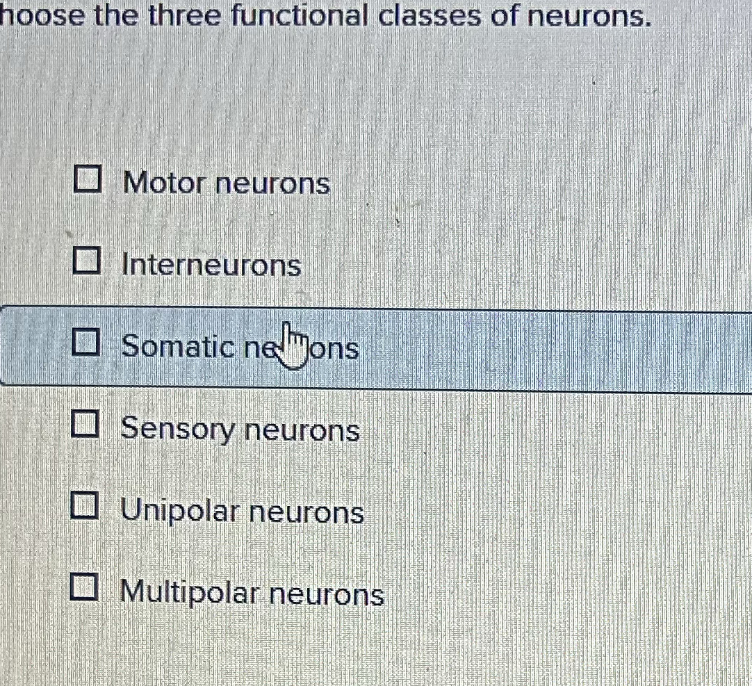 Solved hoose the three functional classes of neurons.Motor | Chegg.com