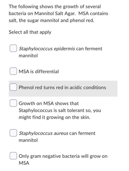 Solved Staphylococcus aureus Staphylococcus epidermidis | Chegg.com Solved Staphylococcus aureus Staphylococcus epidermidis | Chegg.com