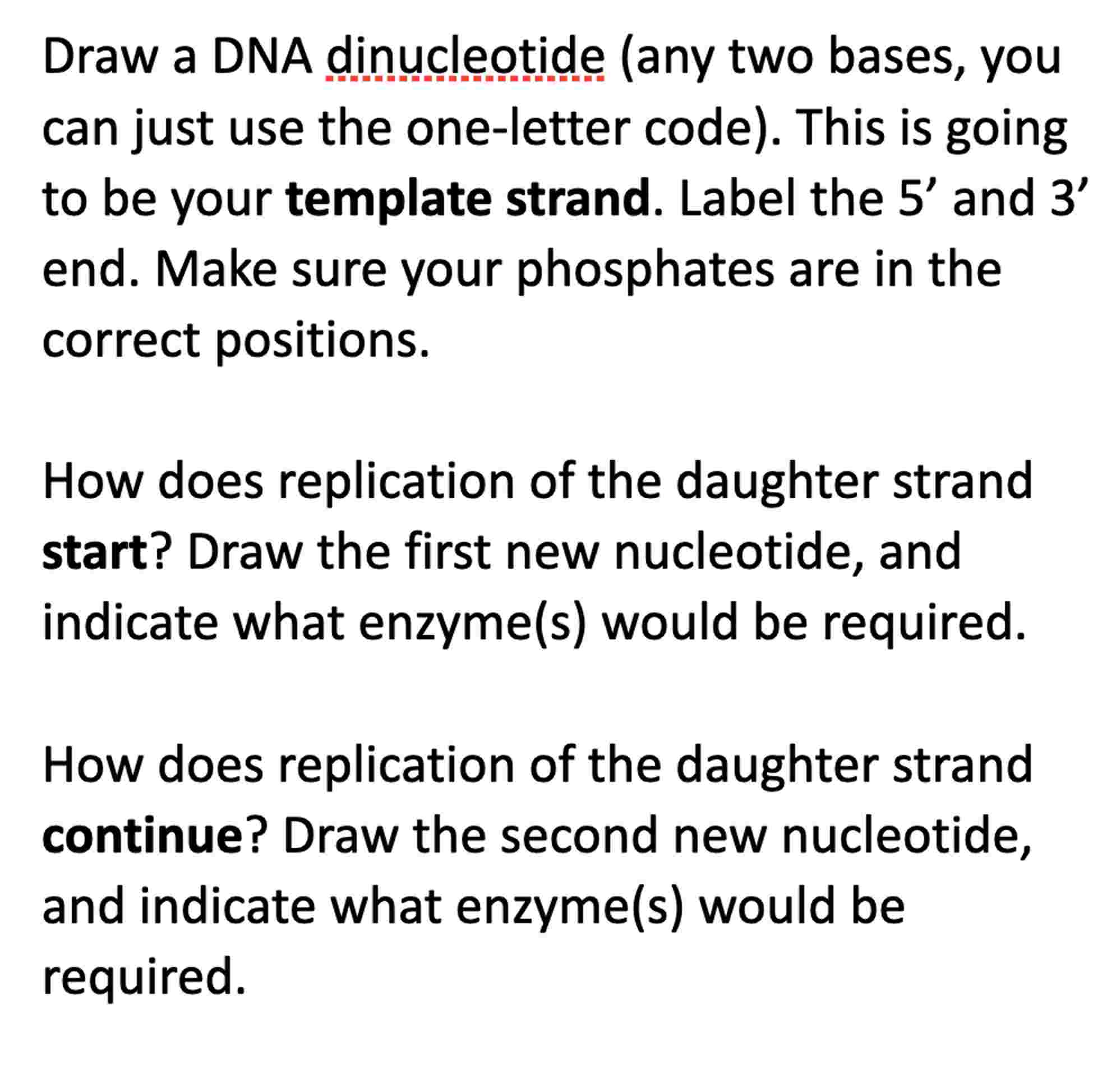 Solved Draw a DNA dinucleotide (any two bases, you can just | Chegg.com