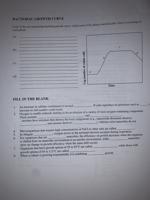 Solved BACTERIAL GROWTH CURVE Look at the accompanying | Chegg.com