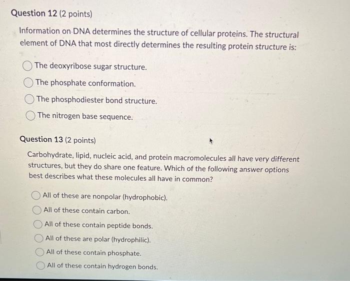 Solved Information on DNA determines the structure of | Chegg.com