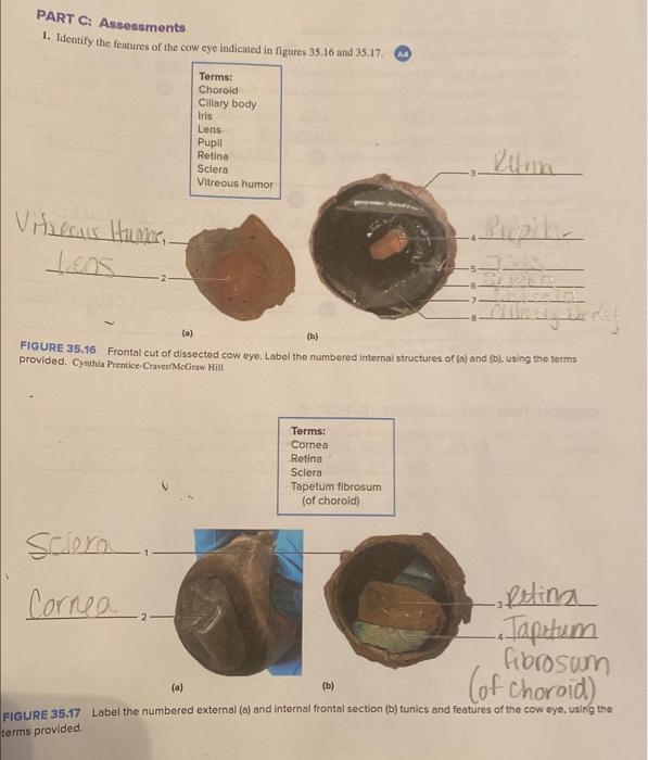 PART C: Assessments 1. Identify the features of the | Chegg.com
