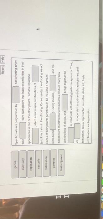 Solved amend 02 spring Match the terme in the left column to | Chegg.com