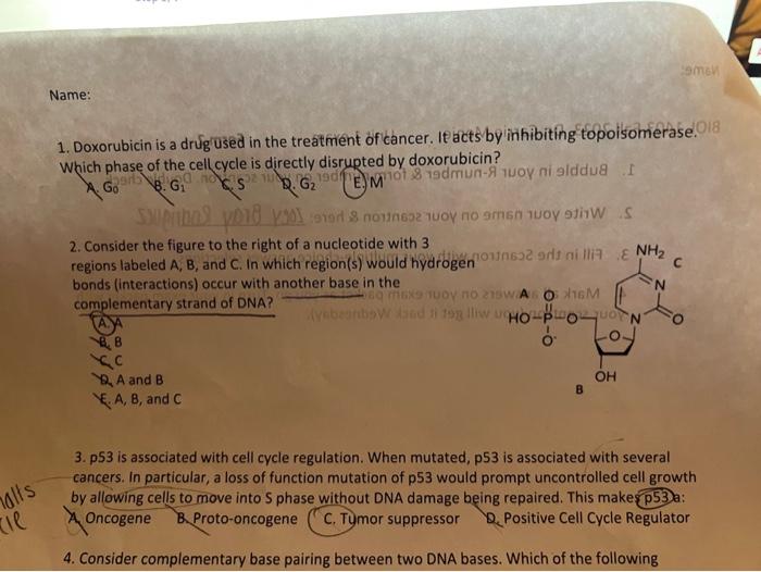 Solved Are these answer choices wrong? If so, what is the | Chegg.com